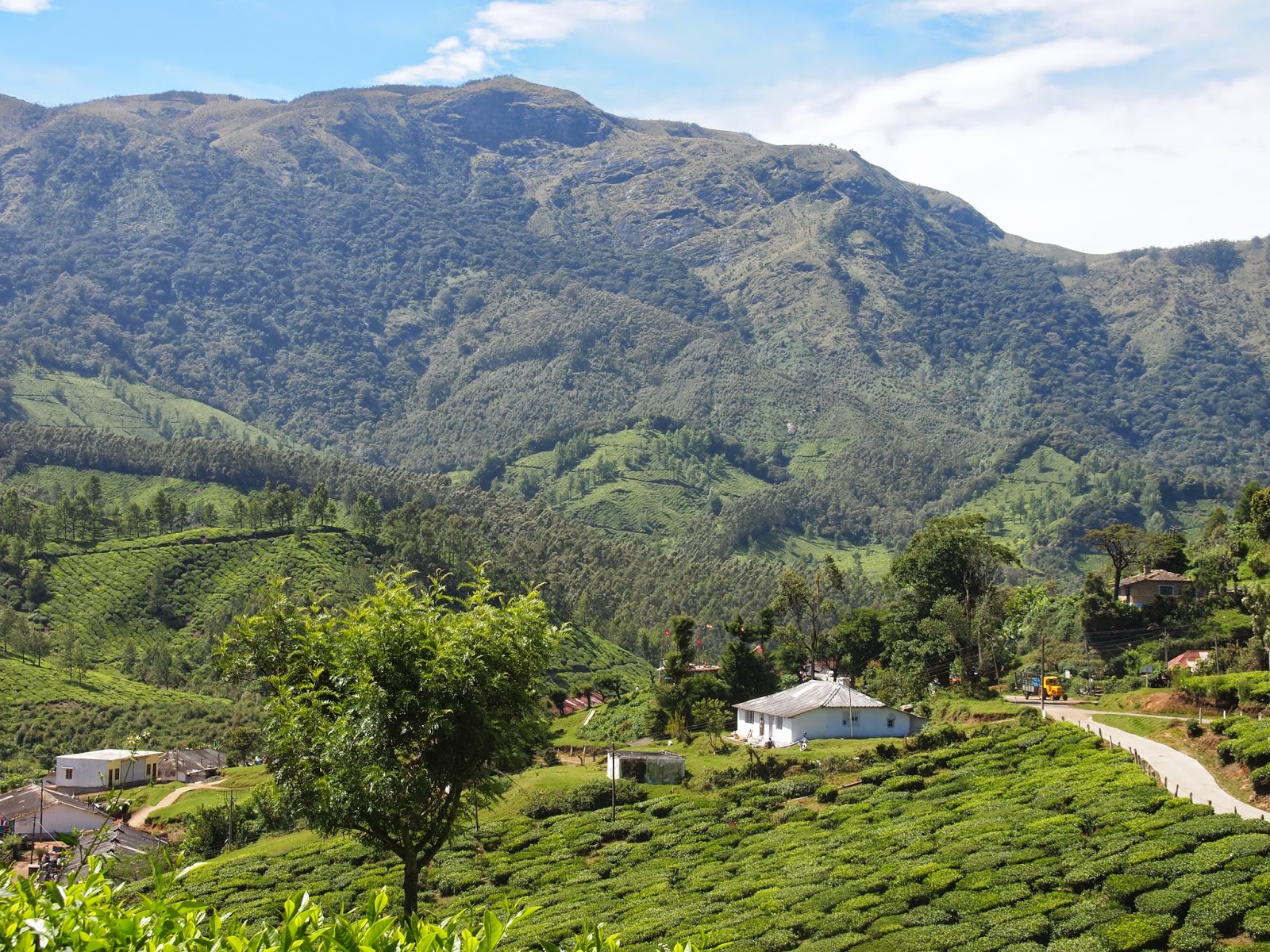 Balade à vélo: Inde Munnar