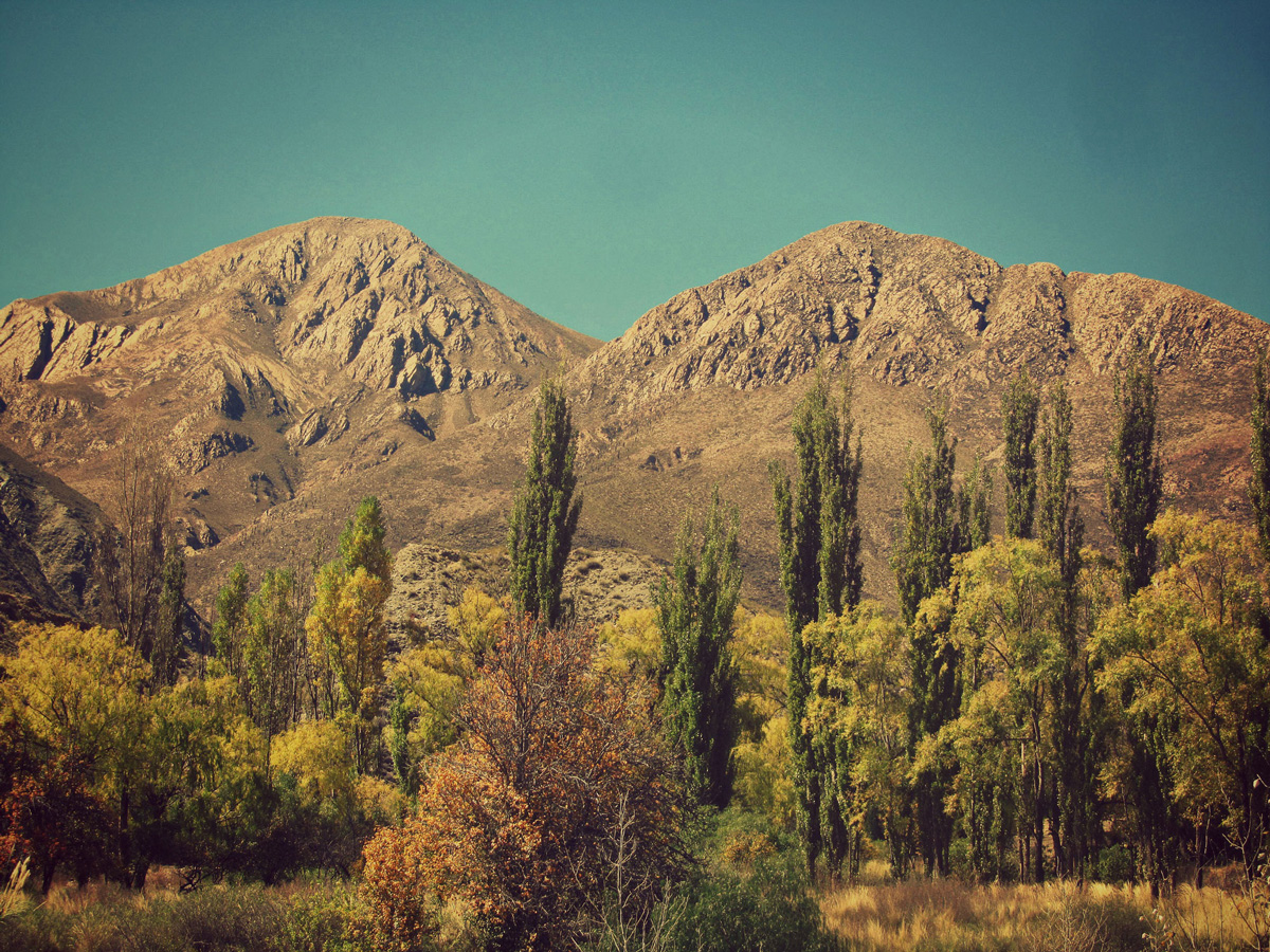 XhARA: CASA DEL ÁLAMO SECO