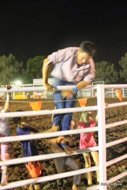 Doin' The Block: Day 162 17/5/14 – El Questro Station – Kununurra Rodeo ...