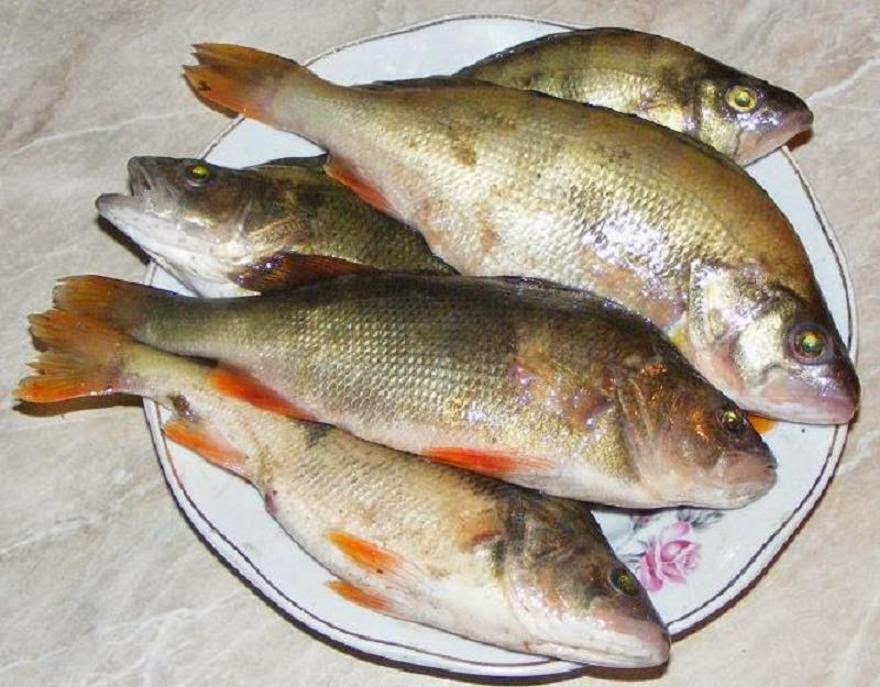 Biban la gratar | Preparatedevis.ro