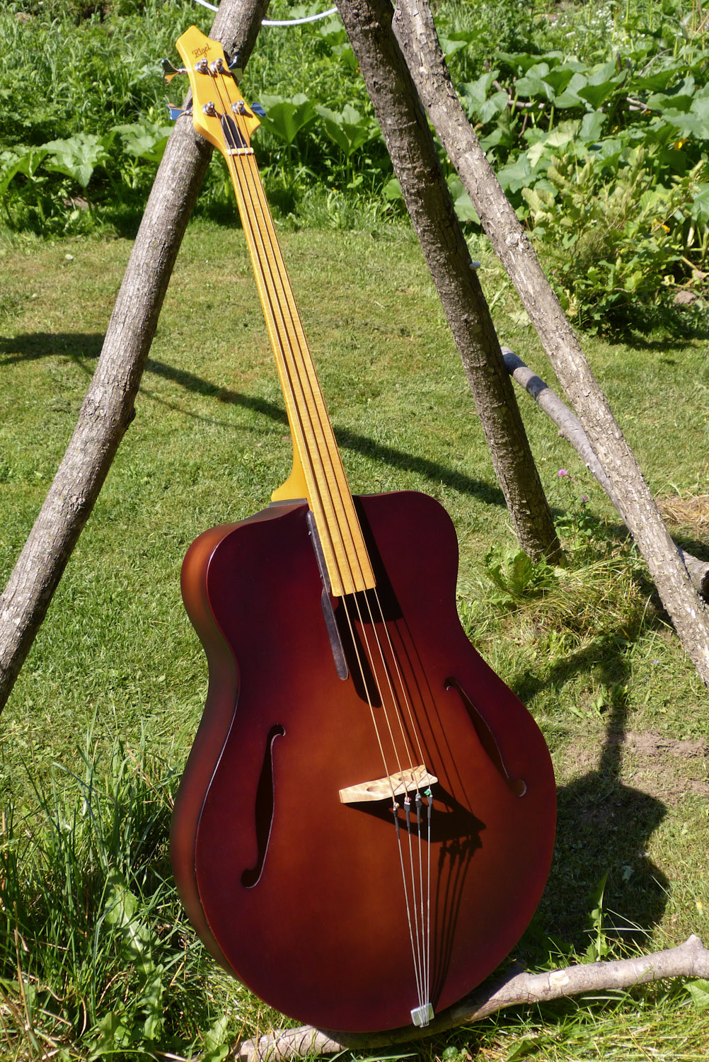 2011 Rigel ABG "Acousta" Fretless Bass Guitar