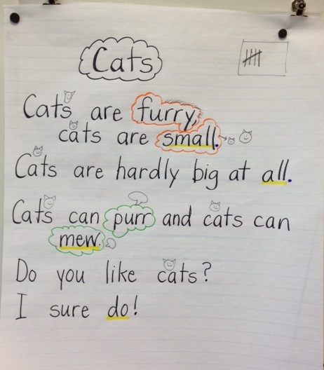 I Wost My Wunch: Cats