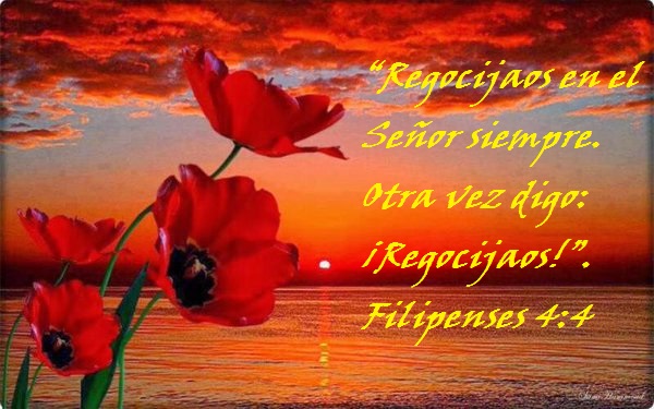 ¿Cómo mantener nuestro gozo? (Filipenses 4:4) - Mundo Bíblico: El Estudio de su Palabra