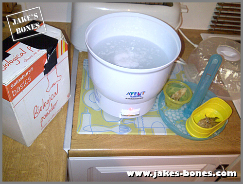 My brilliant new clever invention for cleaning bones : Jake's Bones