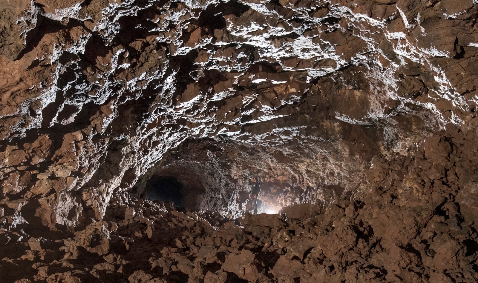 BASALT CAVE. COCONINO NATIONAL FOREST - ADAM HAYDOCK