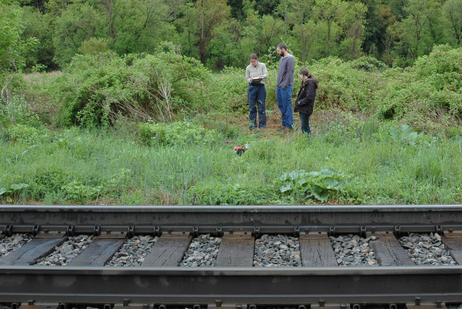 Backyard Beasts: Last Bear Den Measurements of the Season...