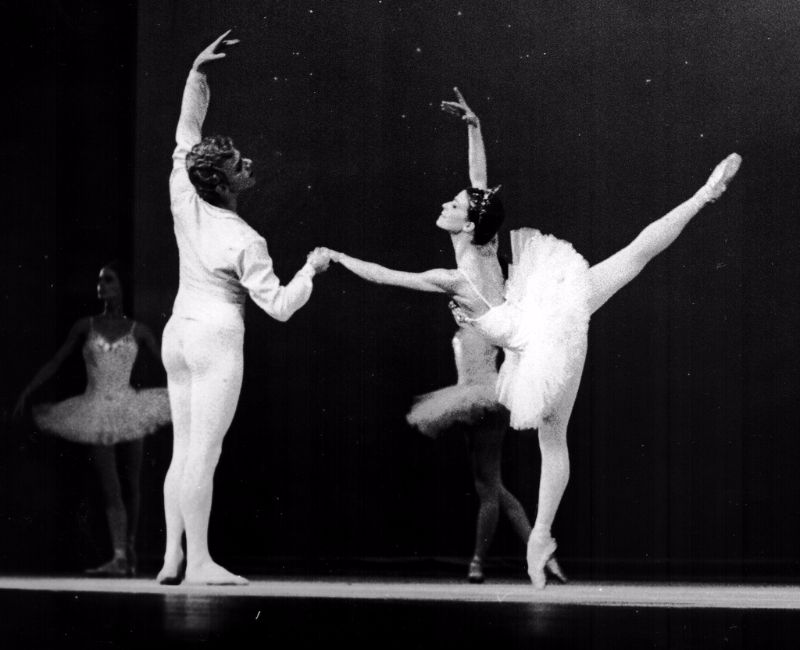 Dutch National Ballet: 47 Pictures That Capture Performing Dancers in ...