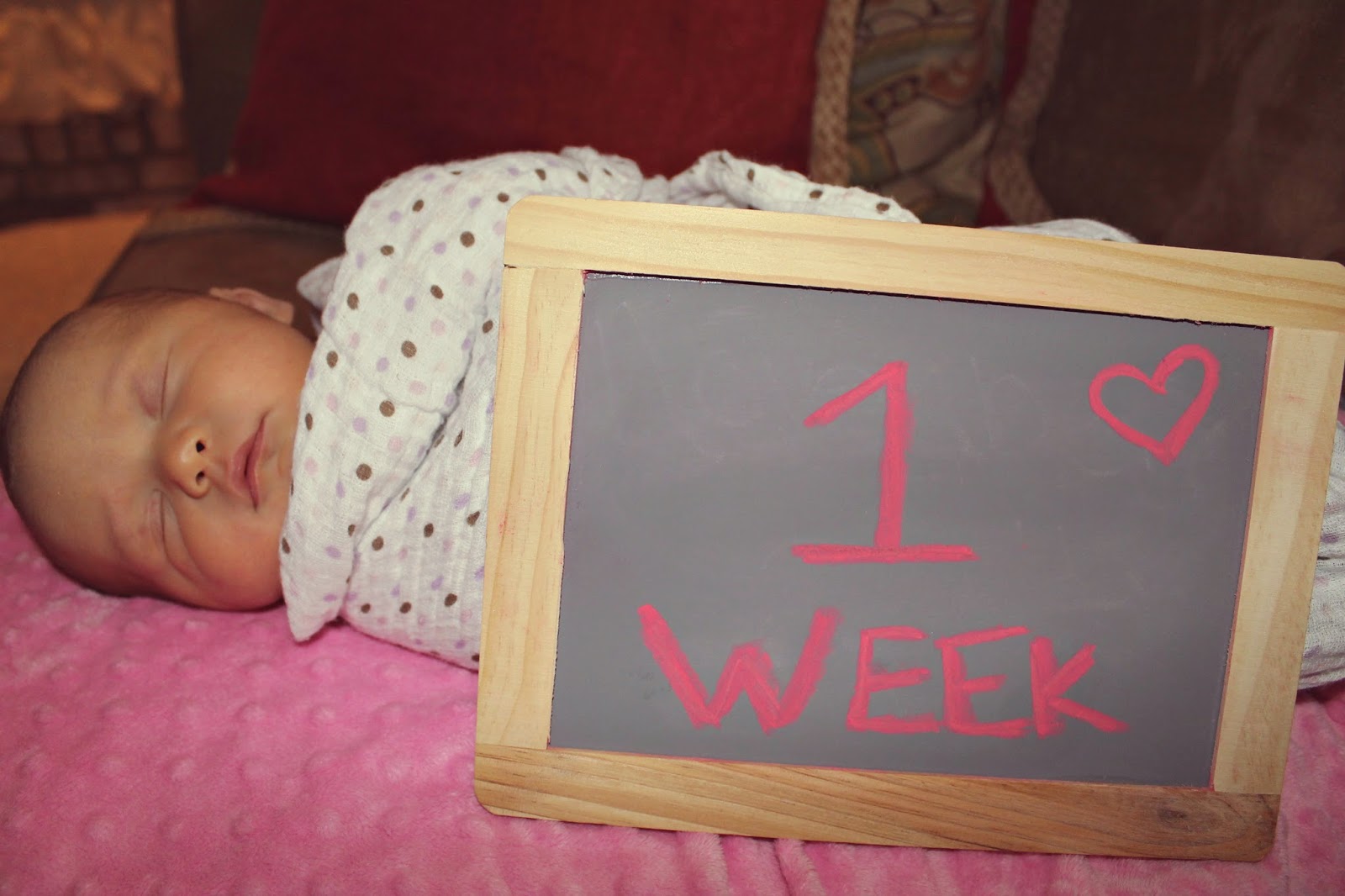 Growing Up Burrows: One Week of Quinn