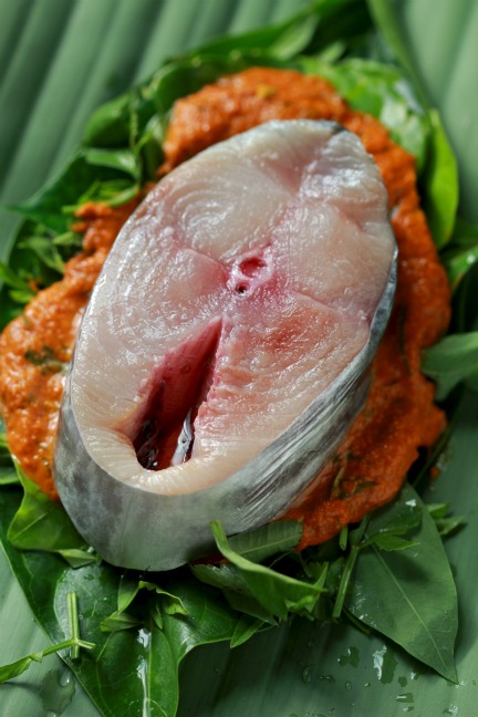 BOTOK-BOTOK - masam manis