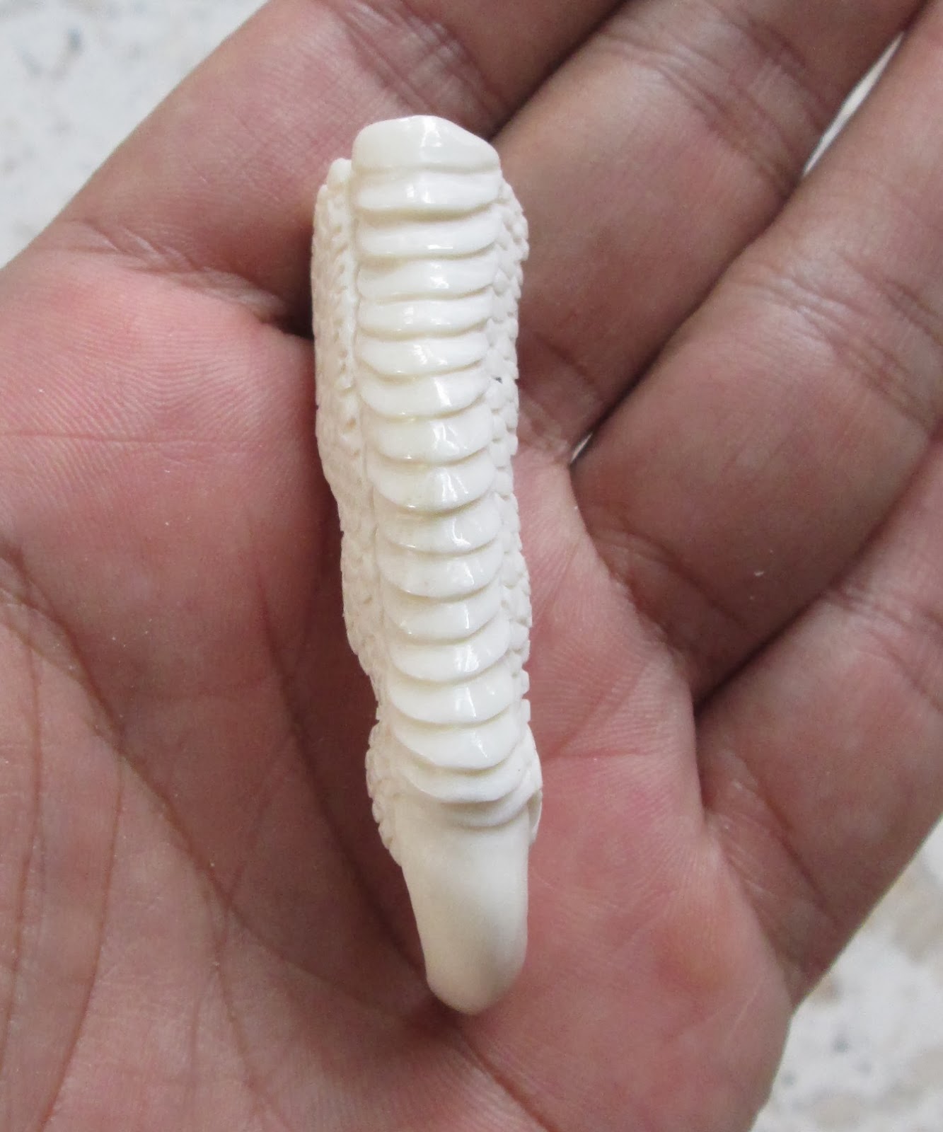 Eagle Claw Bone Carving Pendant - Bone Pendants | Bone Carving | Carved ...