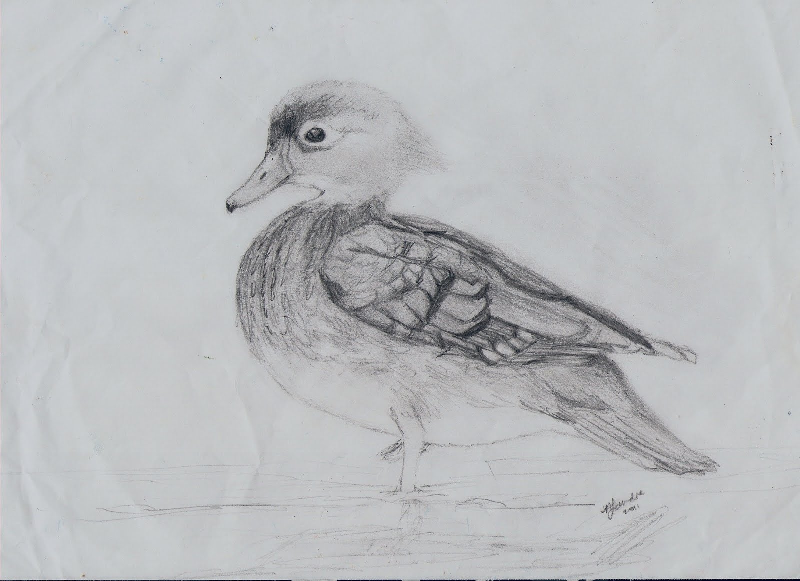 Expressions | NICOLE LAUDIE, ARTIST: 2011