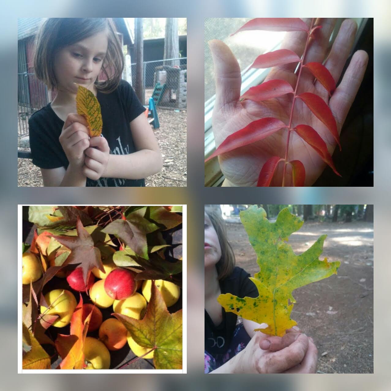 Simple Autumn Leaf Craft