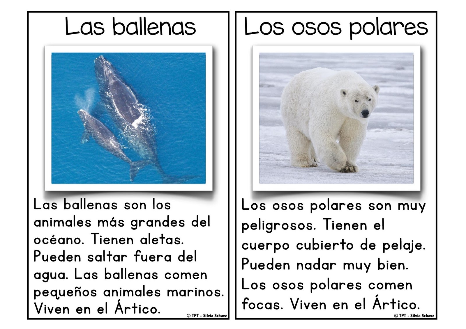 El salón de Silvia Schavz