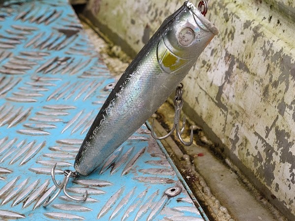 ANGLING WORLD 魔魚釣界: The Exotic Amazon Game Fish - Aimara