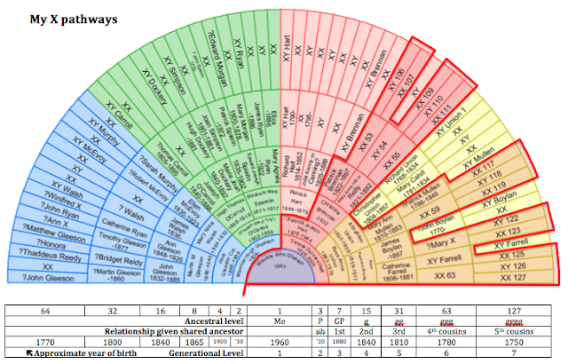 DNA and Family Tree Research: X-chromosome inheritance pathways