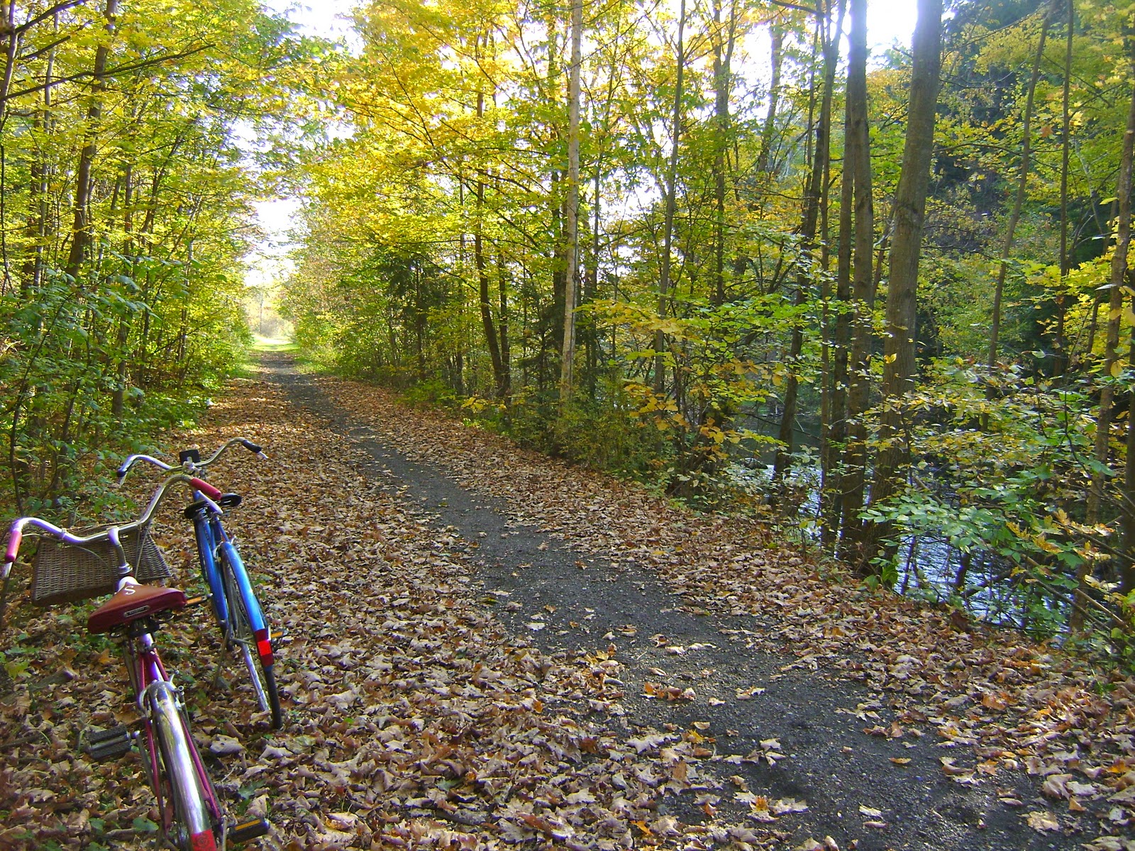 Wayward Goose Farm: The D&H Rail Trail