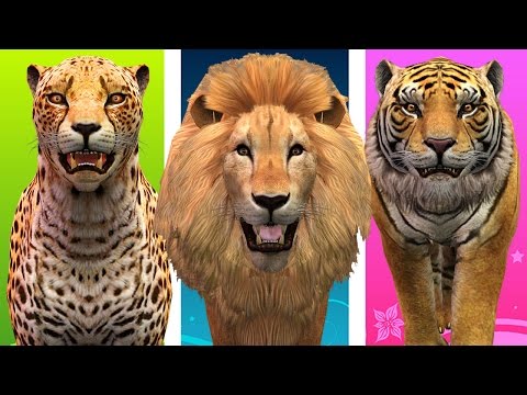 Finger Family Rhymes with Lion Tiger Cheetah Cartoon Children Nursery ...