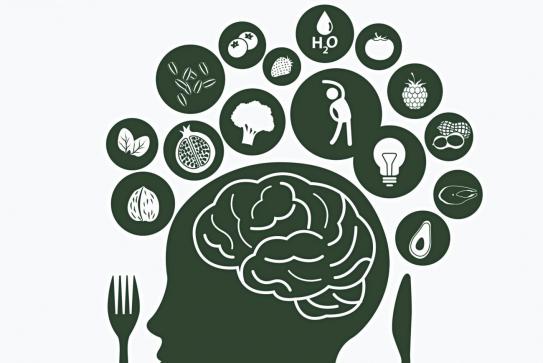 Bad habits that can hurt your brain - RARE TIPS