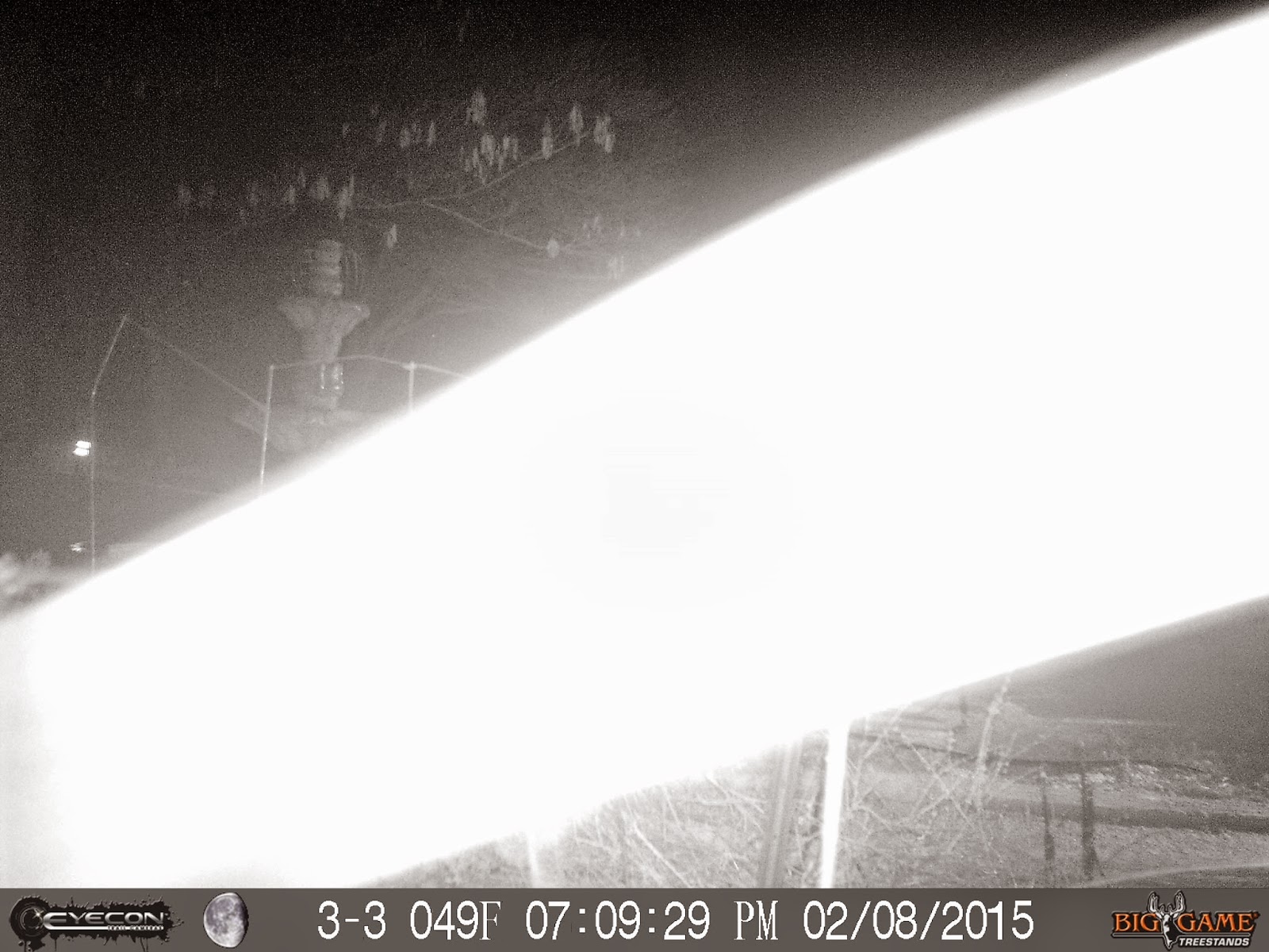 Phantoms and Monsters - Real Cryptid Encounter Reports - Fortean ...