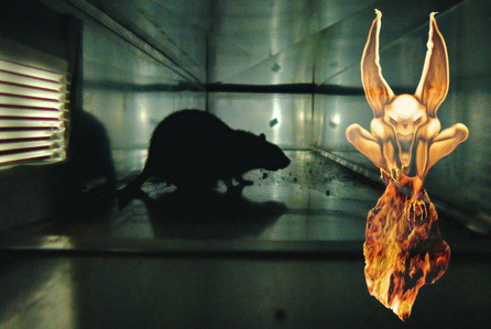 The Cult of Ghoul: ZLATNI GHOUL za HOROR u 2016.