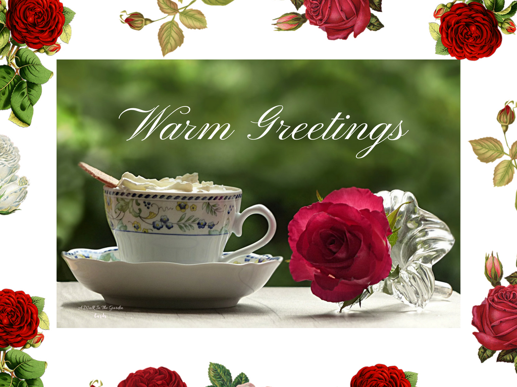 A Walk In The Garden Greetings: Daily eCards