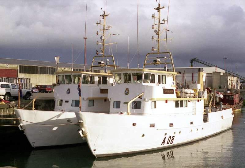 Bulldust over a Kiwi BBQ: The Auxiliary Fleet of the RNZN as at 2019