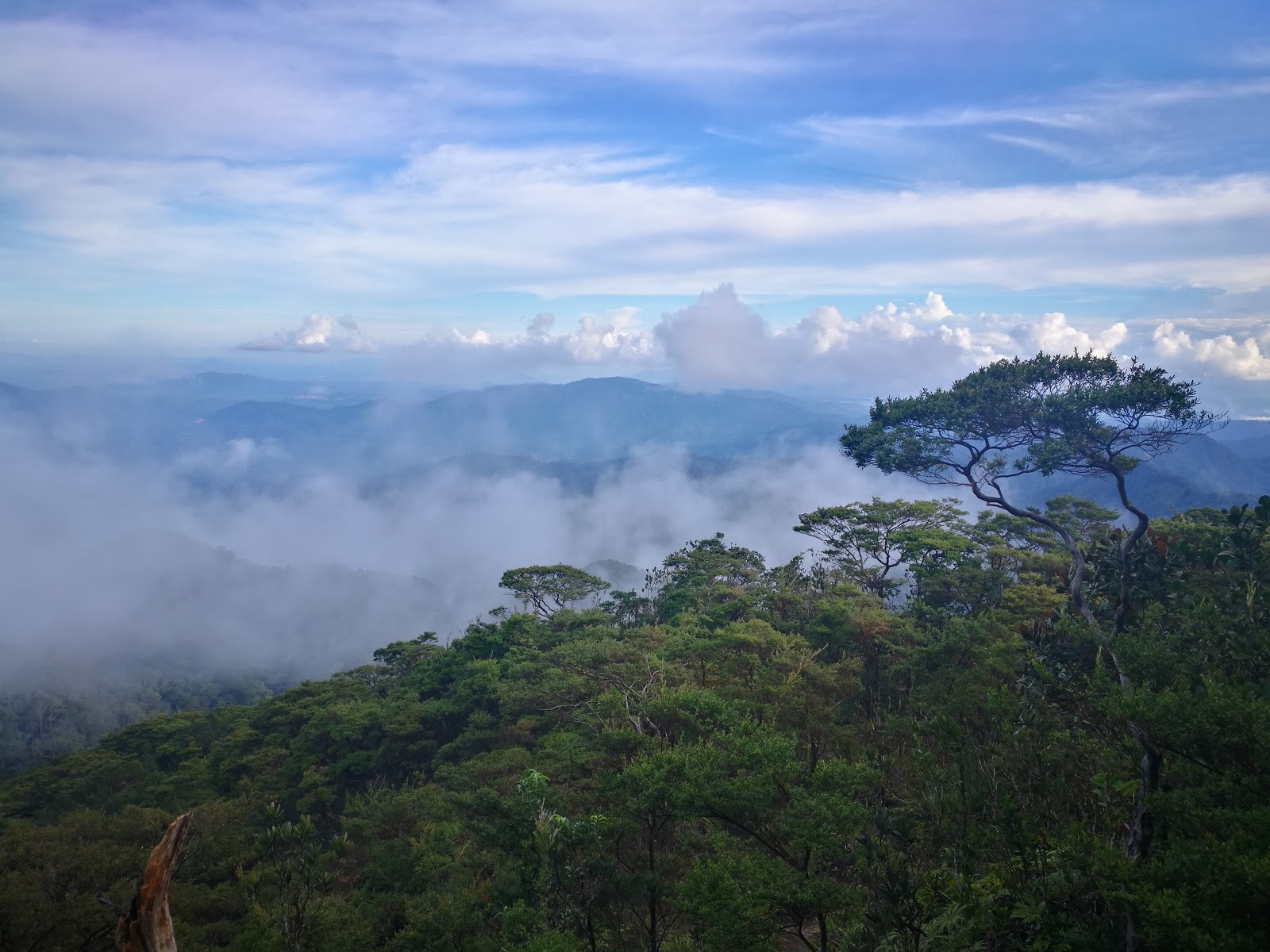 Gunung Terengganu: Gunung Sarut 1229mdpl