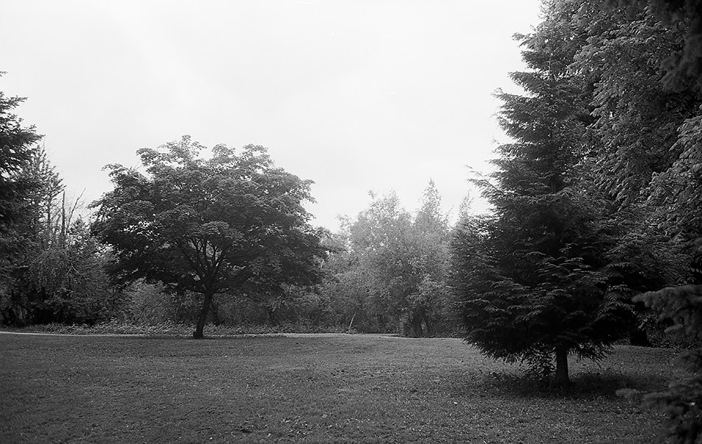 My Daily Image 17 5 31