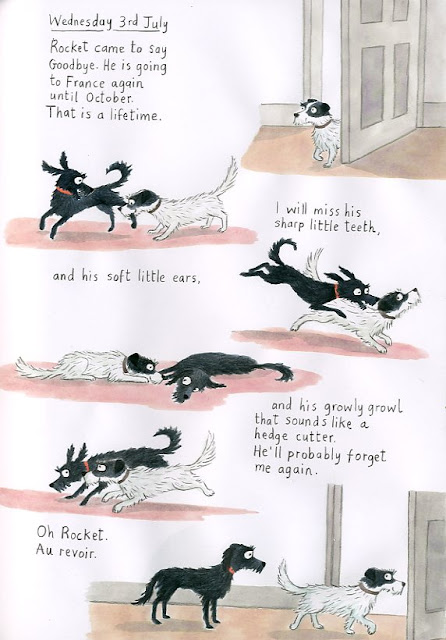 PLUMDOG BLOG: 2013