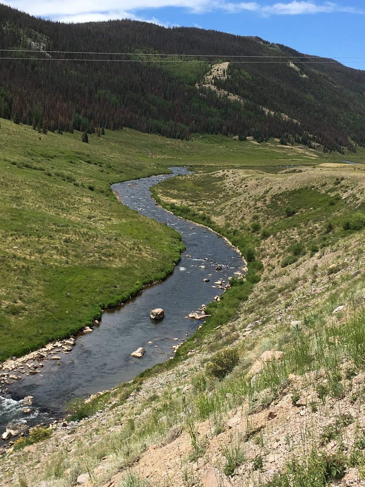 FishOn! the Fly: Conejos River