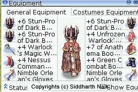 Wizard & High Wizard Equipments for PvP/WoE