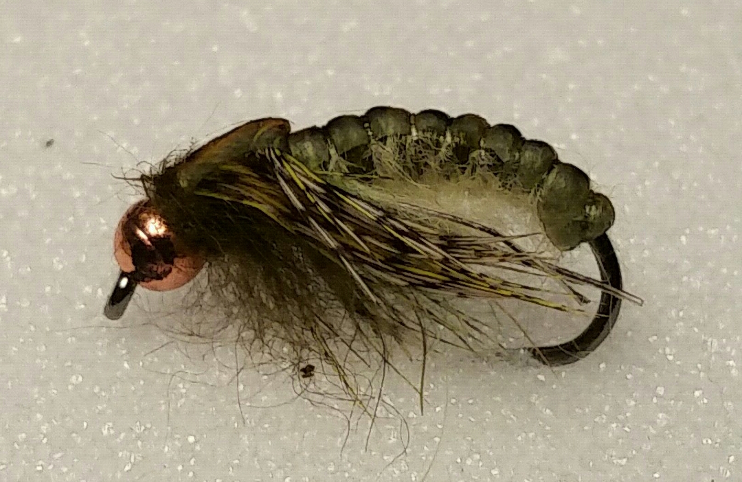 Piscari-Fly : Sedge Pupa Nymph