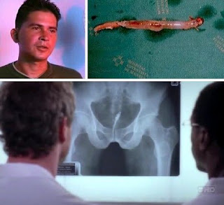 Free unique Info | unique information | unique | information