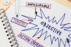 The Saltlick: Know thy objective