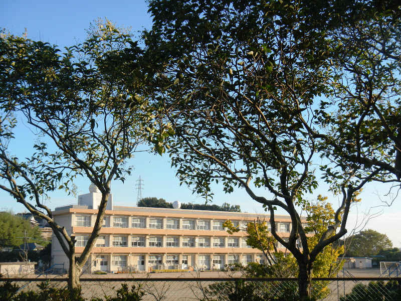 I’d Rather be in a Japanese School than Anywhere Else in a Disaster ...