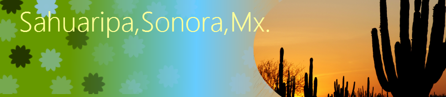 Sahuaripa,Sonora.