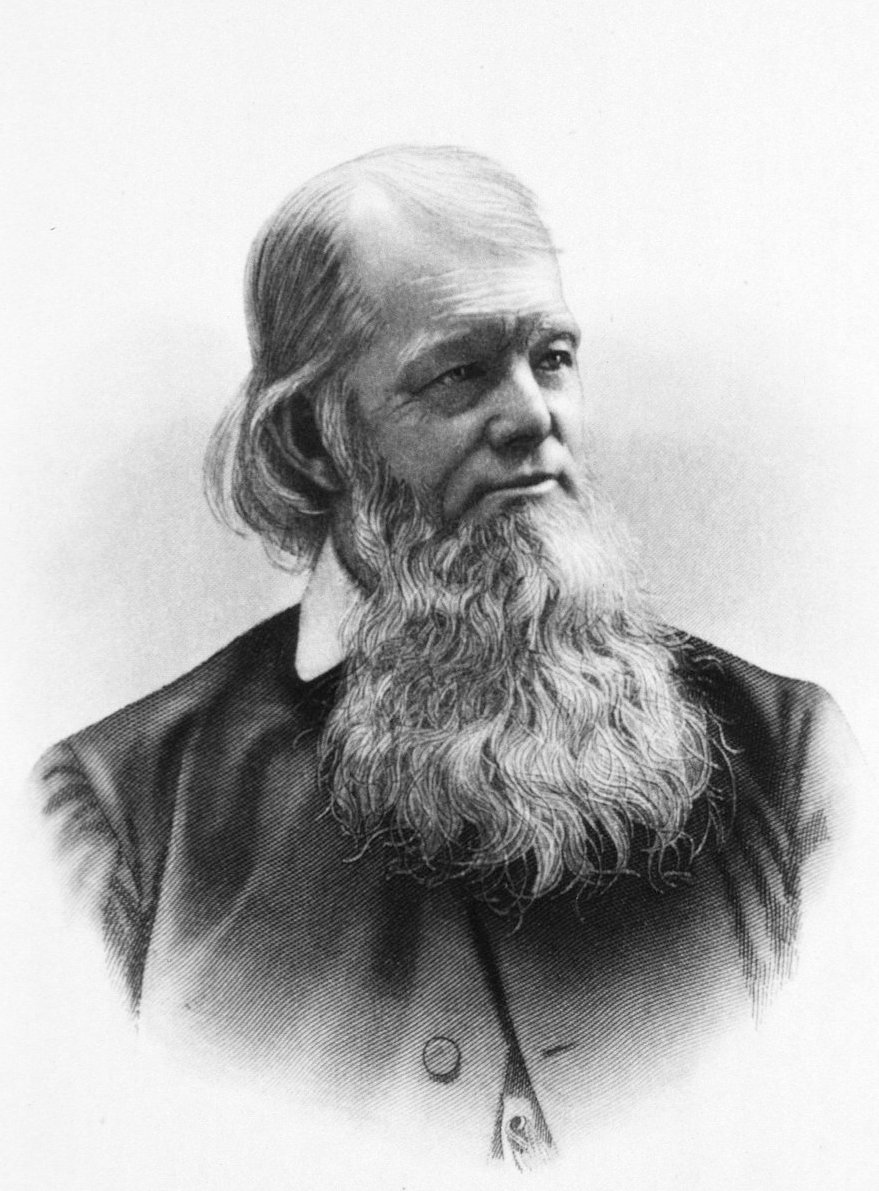 NATUROPATIA DIGITAL: La Organización Colegial Naturopática hoy, 28 de ...