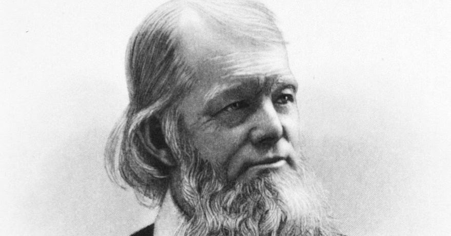 NATUROPATIA DIGITAL: La Organización Colegial Naturopática hoy, 28 de ...