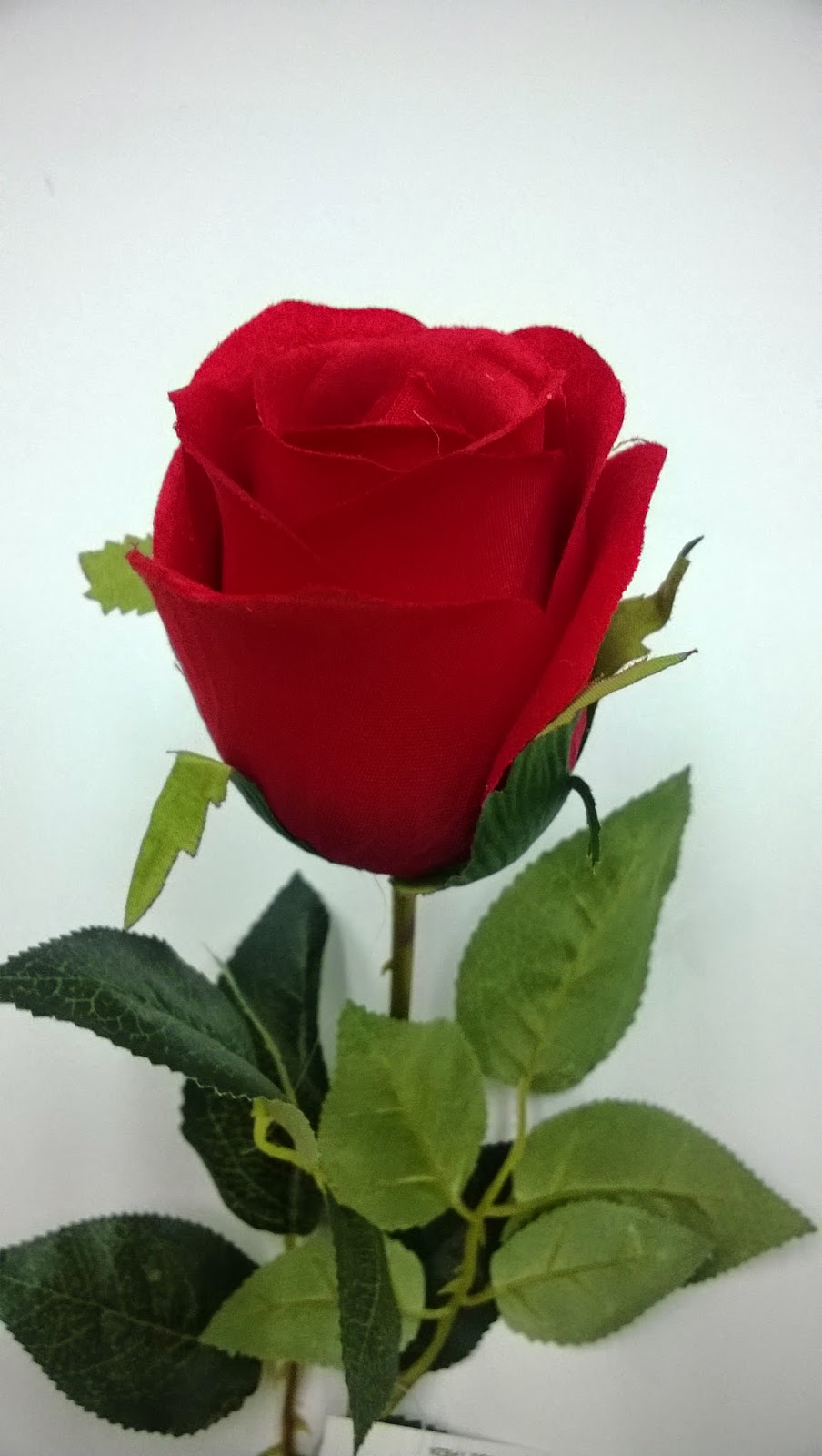 Rosa en boton X1 (H01203) | Pruebas