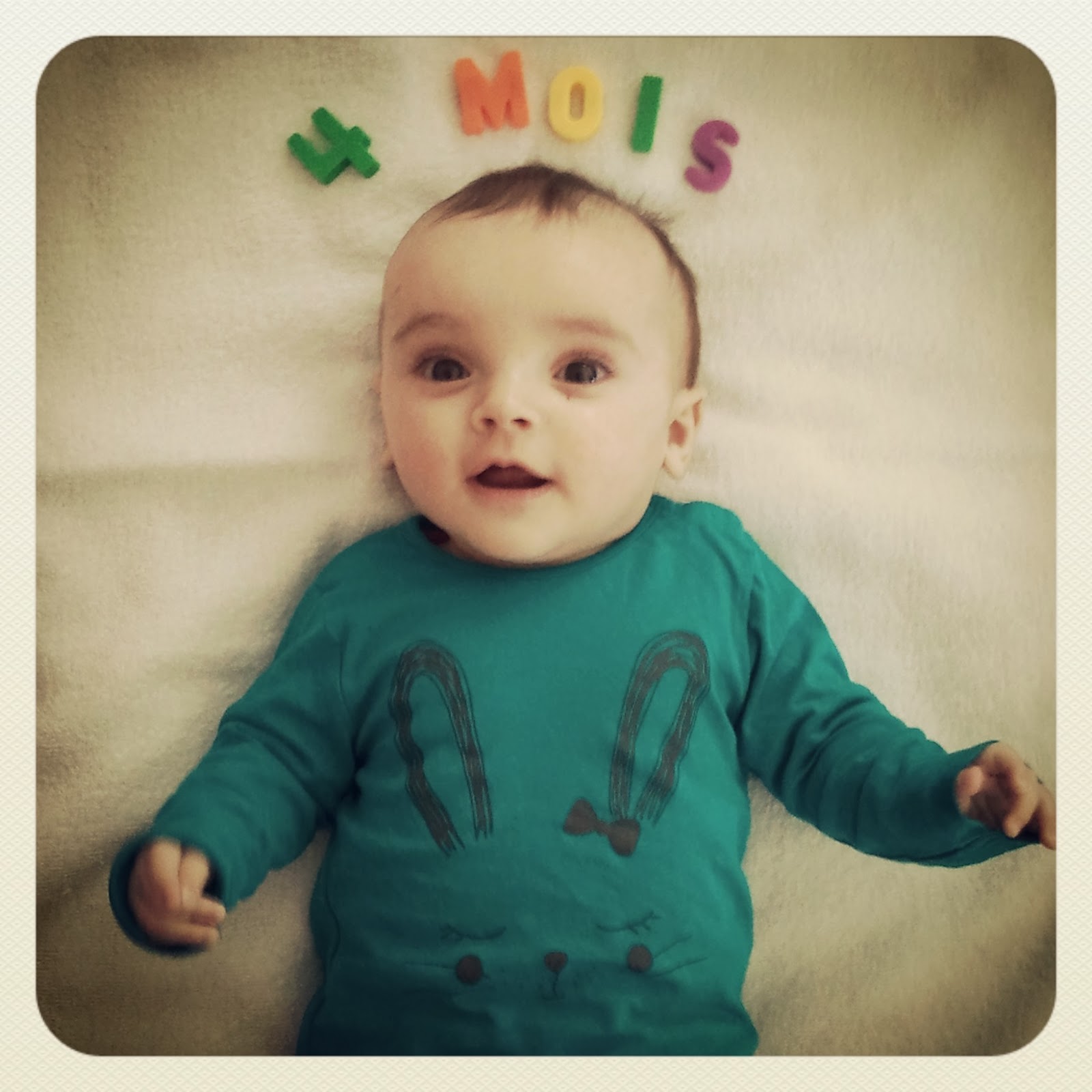 La vie ordinaire d'une bretonne: Mois après mois, les 4 mois