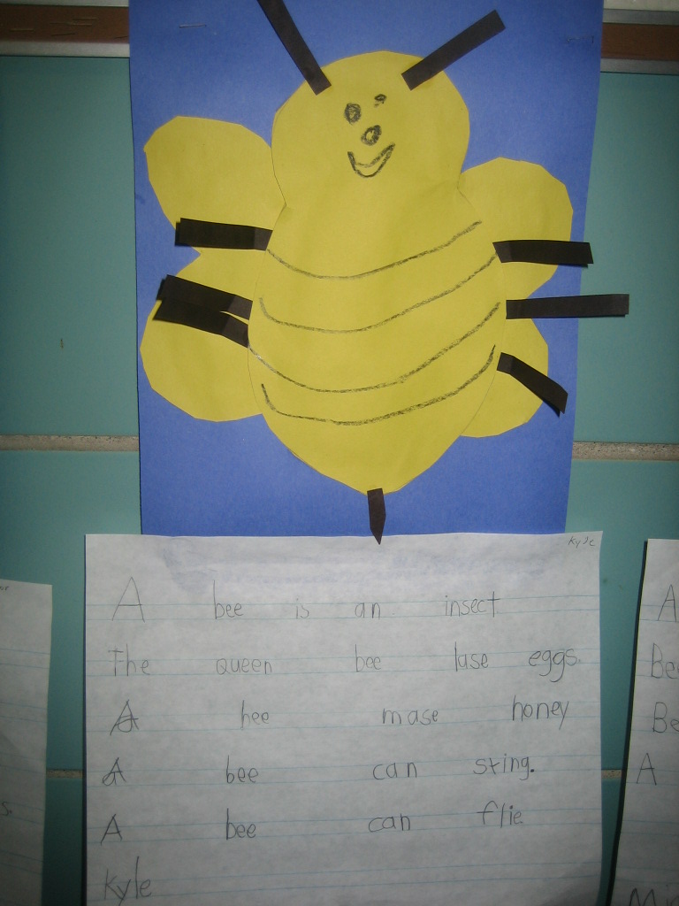 Busse's Busy Kindergarten: All About Bees