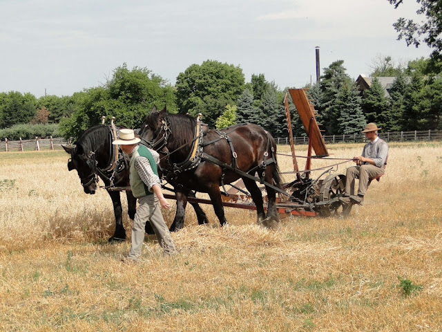 Passion for the Past: Early Farming & Farm Tools From Days Gone By