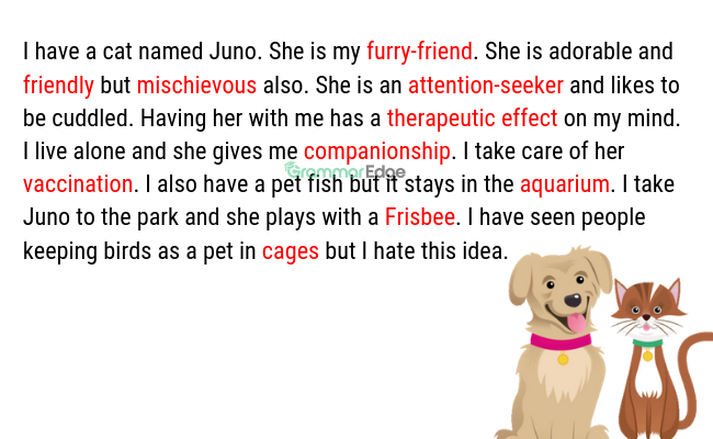 IELTS Vocabulary for Pets - GrammarEdge