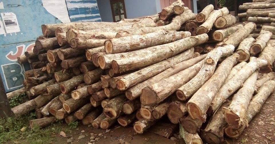 BALOK DL, OP, OD | KAYU BALOK