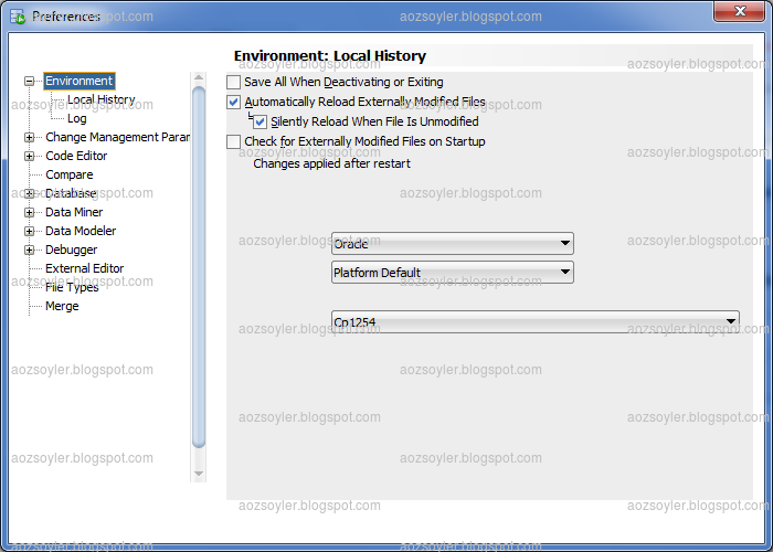 Technical Notes: How to solve SQL Developer redrawing problem on Windows?
