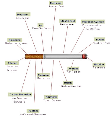 THE CONTENTS OF CIGARETTES FOR YOUR HEALTH ~ WALKING NEWS