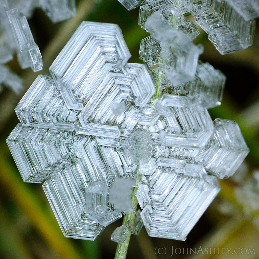 Wild and Free Montana: Hoar-frost Etymology