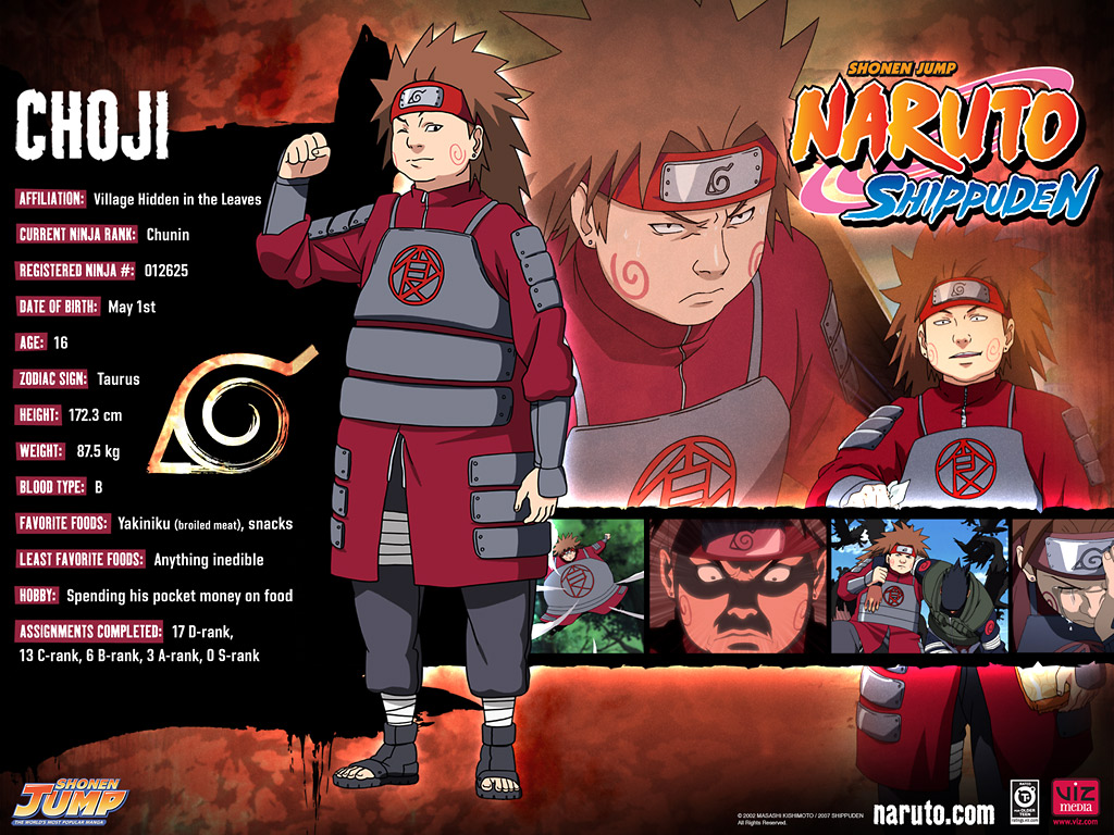 The Last Shinobi: Naruto Wallpaper