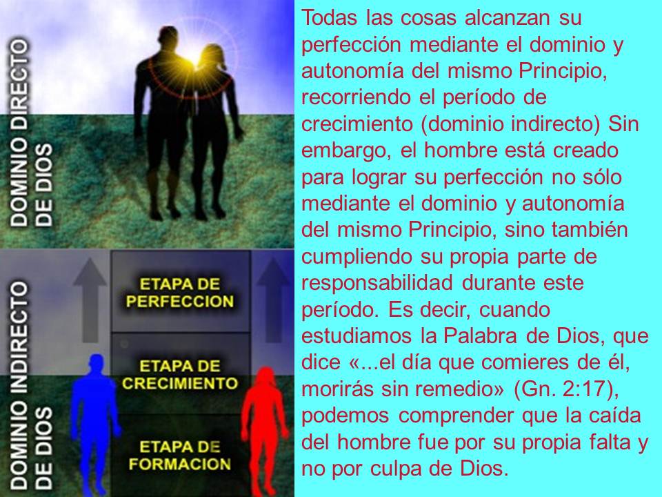 FFPMU : 10.- SEMINARIO SOBRE EL PRINCIPIO DIVINO