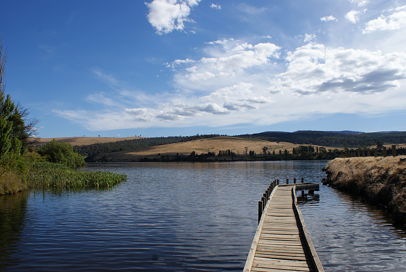 Nele & Andrew Around Oz: Land of the Giants Campground, Mount Field ...